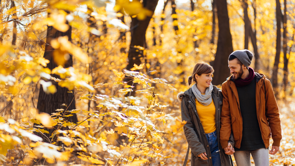 Discover autumn activities in Porto